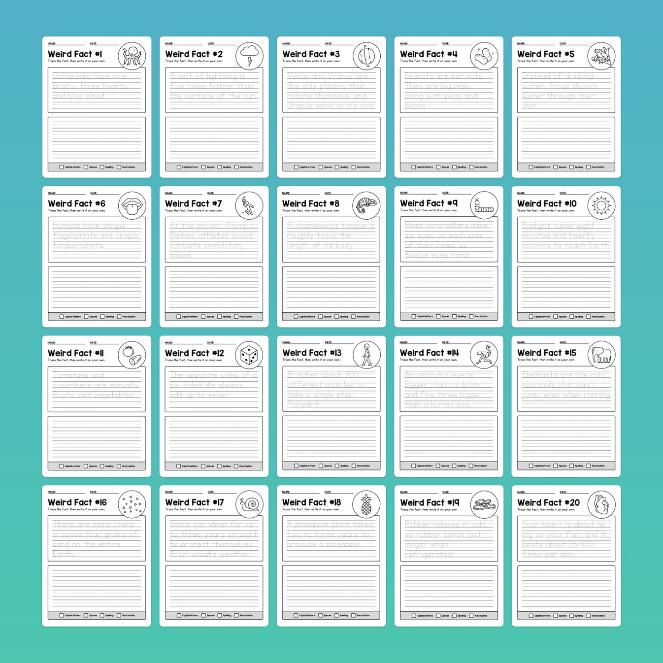 Weird Fact Handwriting Worksheets – That Little Robot