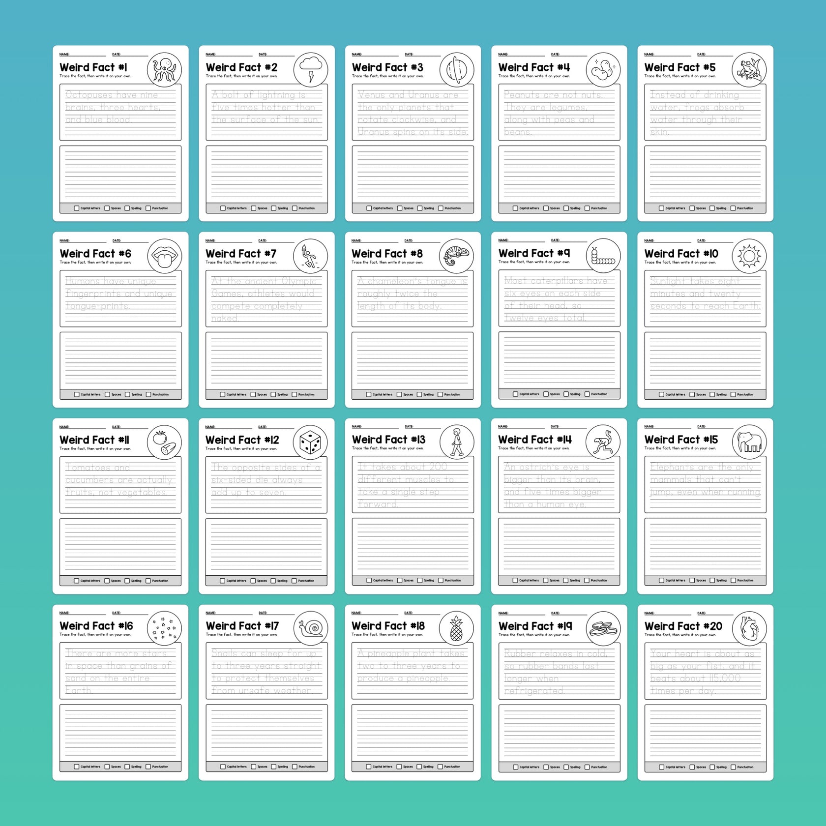 Weird Fact Handwriting Worksheets – That Little Robot